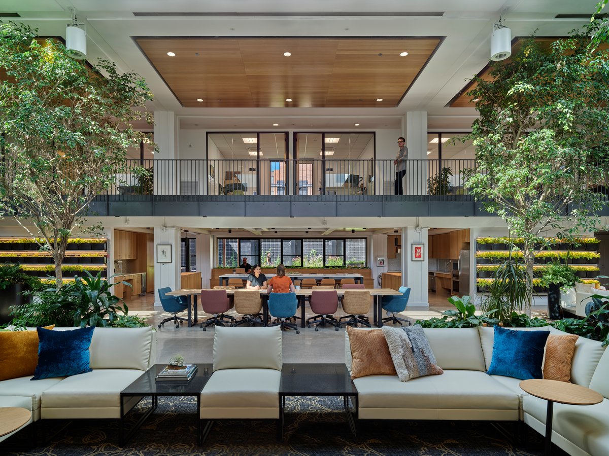 Why Equity Matters in Workplace Design